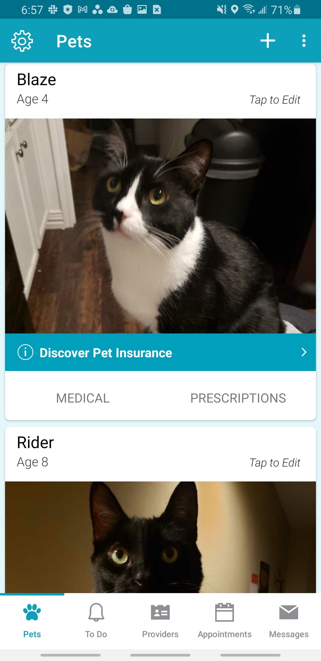 8 Useful Mobile Apps for Cat Owners and Cat Lovers