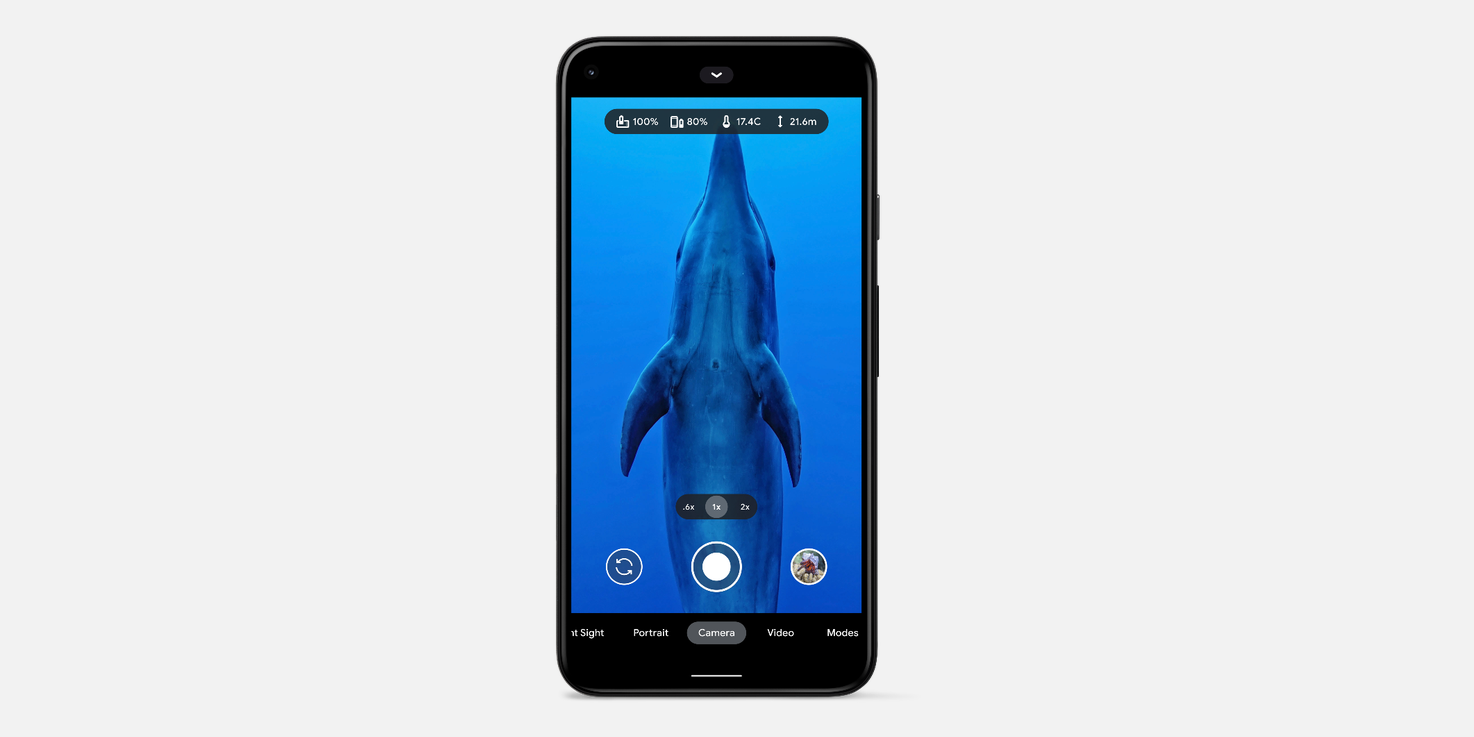 You Can Now Take Underwater Photos Using Your Pixel Phone