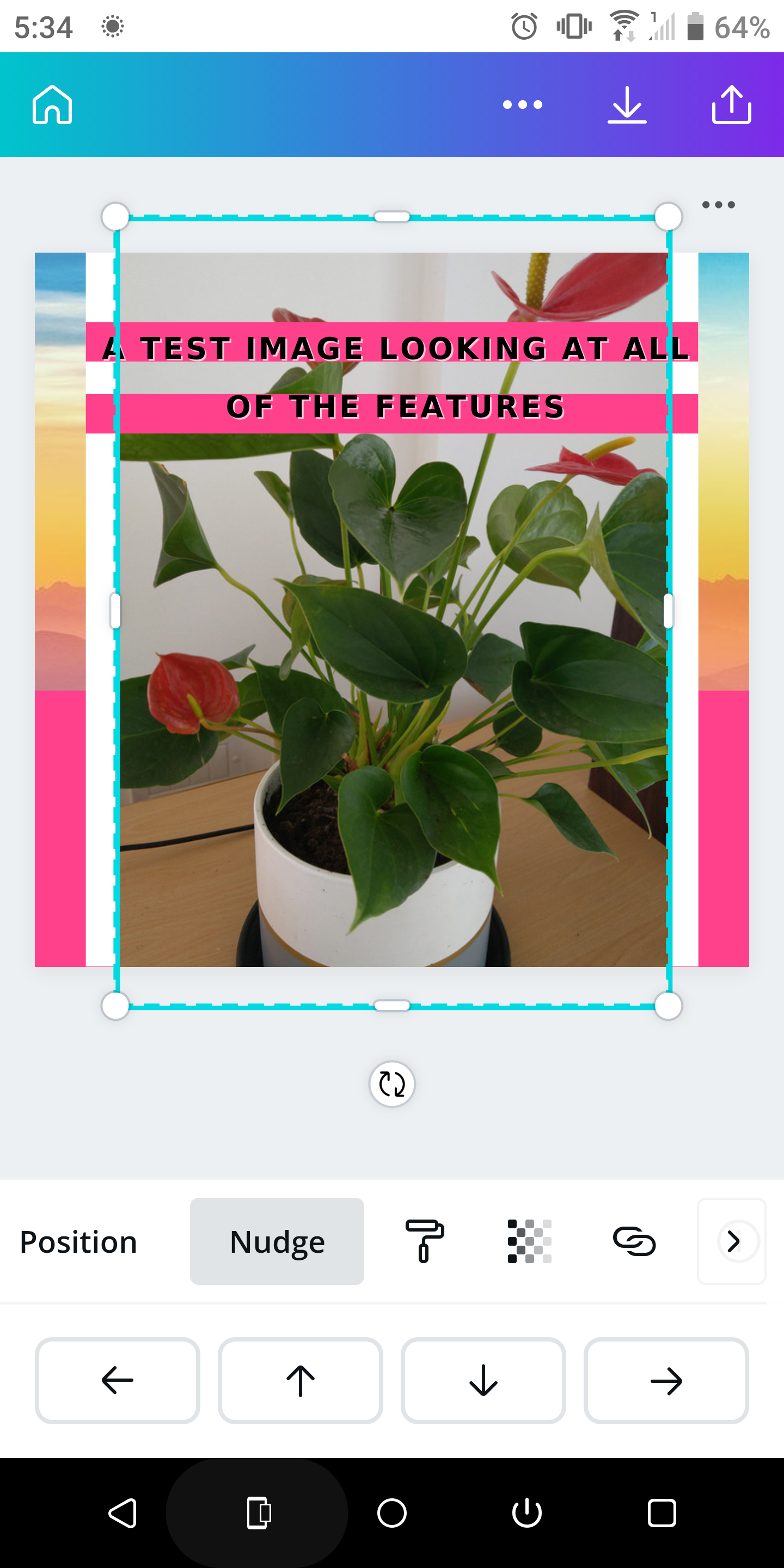How to Use the Canva App: A Beginner's Guide