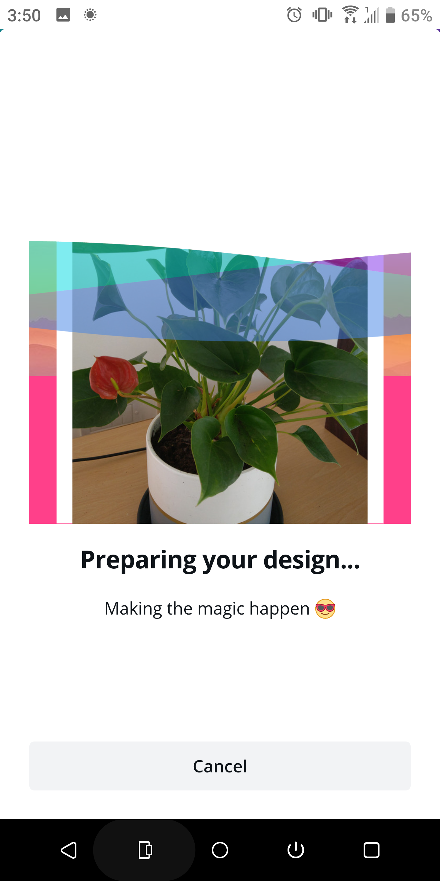 How to Use the Canva App: A Beginner's Guide