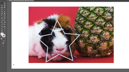 How To Crop An Image In Adobe Illustrator LaptrinhX