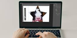 How To Crop An Image In Adobe Illustrator