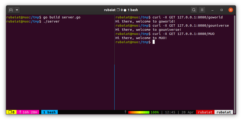 How to Build a Basic Web Server in Go