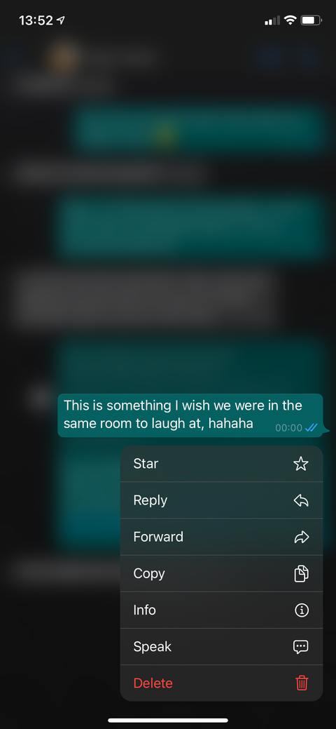 What Do the Check Marks in WhatsApp Mean?