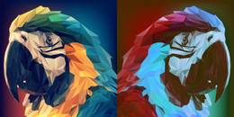 7 Creative Ways To Use CorelDRAW