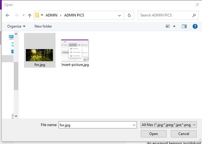 How to Edit and Crop Images in Microsoft OneNote