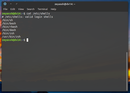C mo Cambiar El Shell Predeterminado En Linux Con Chsh TecnoLoco