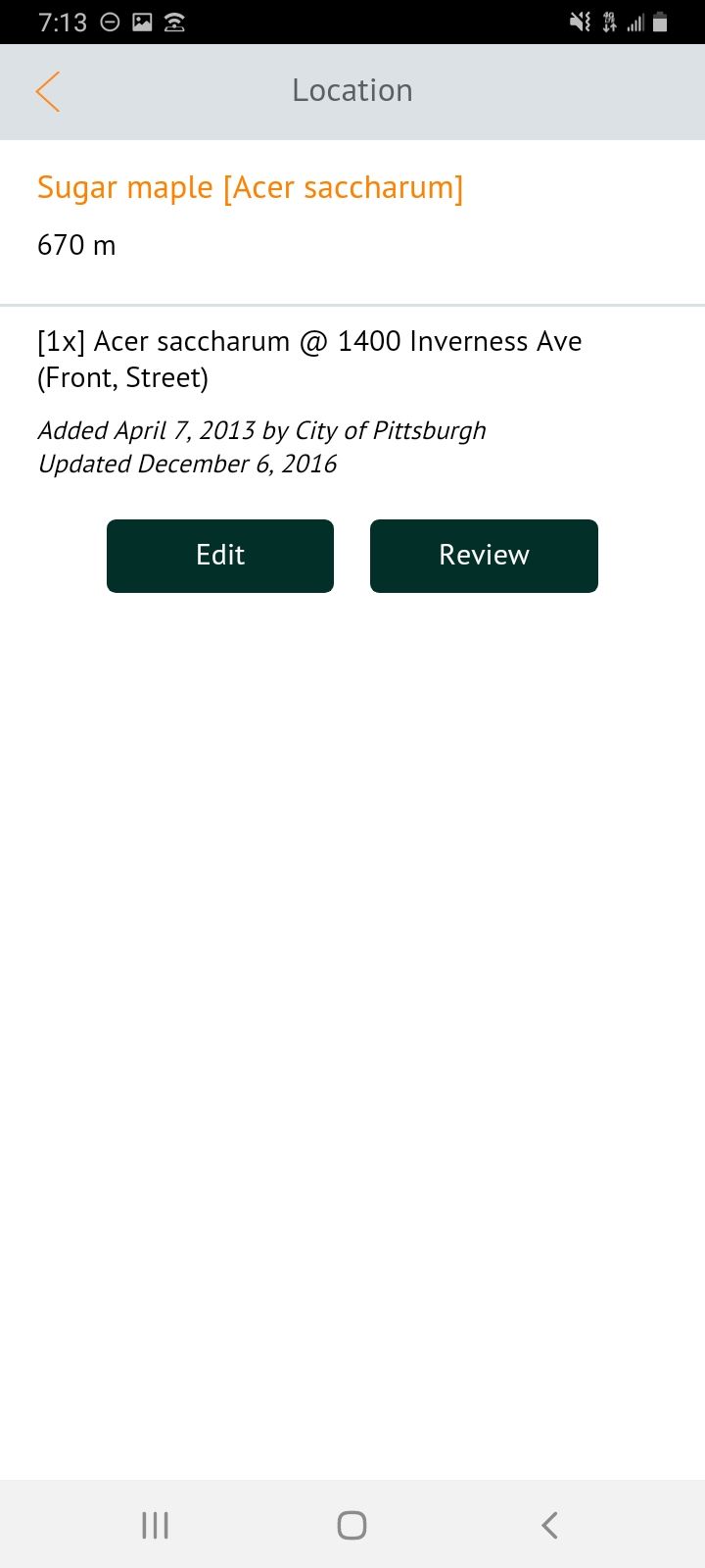 How to Forage for Free Food With the Falling Fruits App