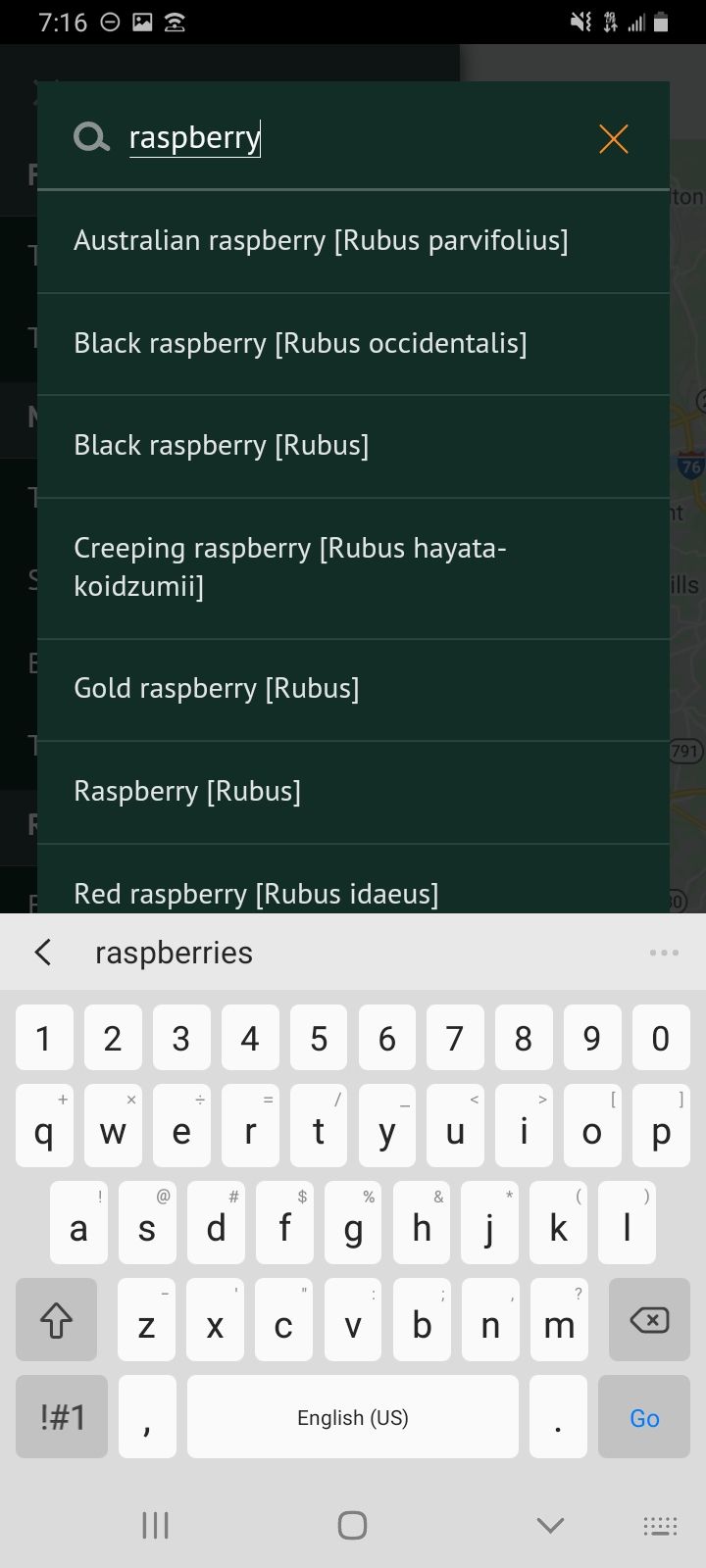 How to Forage for Free Food With the Falling Fruits App