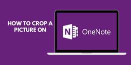 How To Edit And Crop Images In Microsoft OneNote