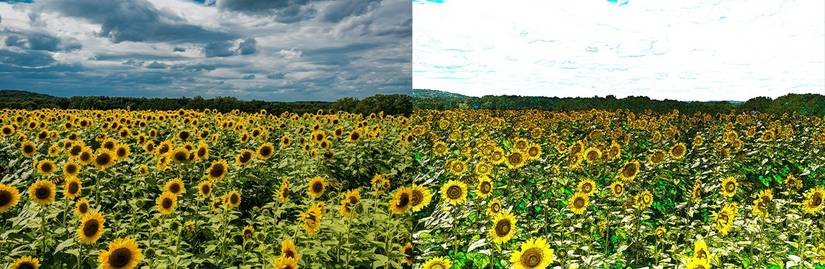 How to Cartoonify Your Photos With GIMP