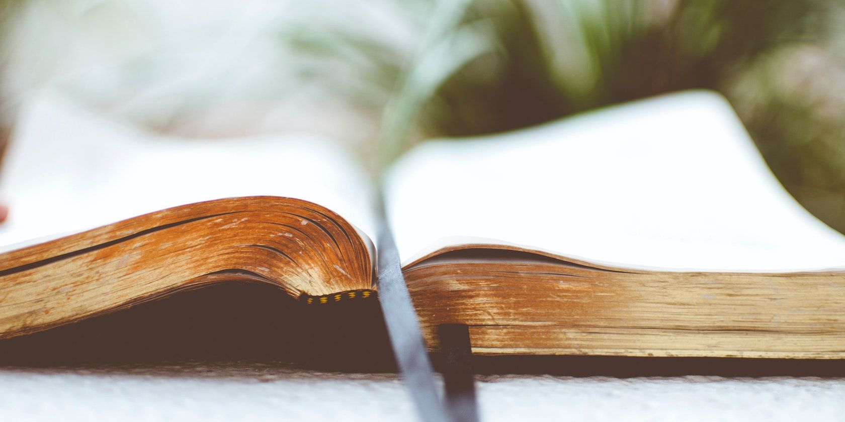 How to Inspect a Project’s History With Git Log