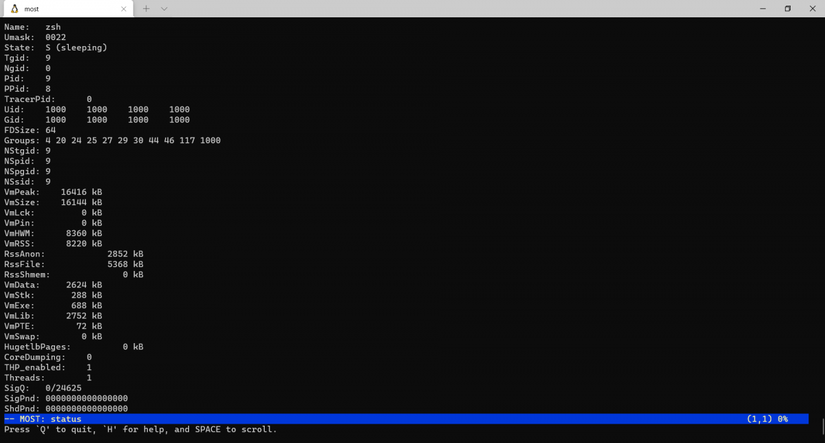 How to Use procfs to Get System Related Information in Linux