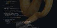 Cara Membaca Dan Menulis Ke File JSON Dengan Python Ceriwit ID
