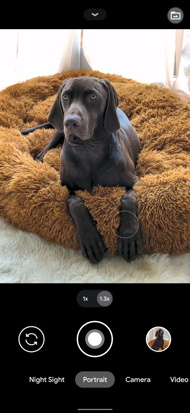 6 Google Pixel Features That Help You Take Fantastic Selfies