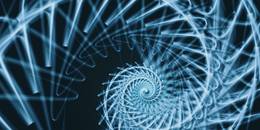 What Is A Fibonacci Sequence And How Do You Print One In Python C 
