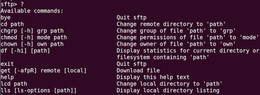 C ch Truy n File An To n Tr n Linux V i Sftp