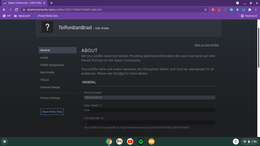 How To Set Up A Custom URL In Your Steam Profile