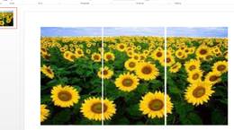 How To Create 3D Split Photo Effect In PowerPoint