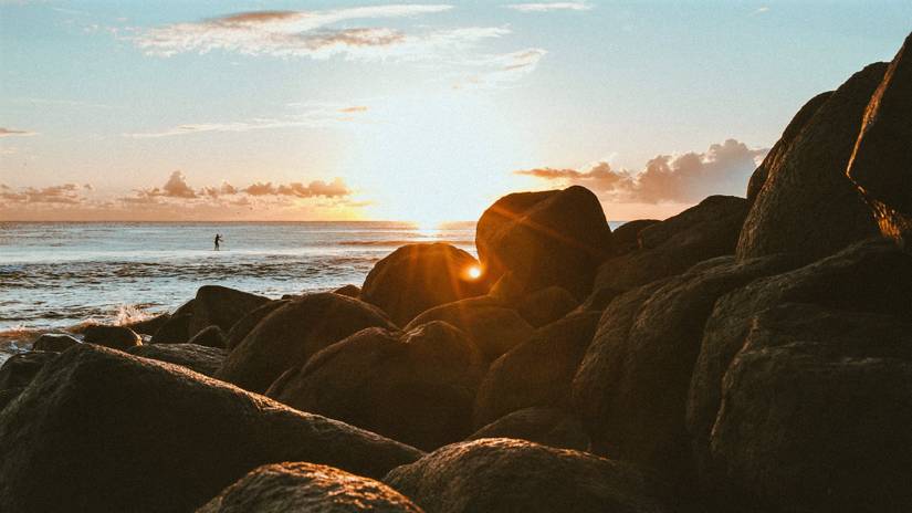 What Is Backlighting in Photography?