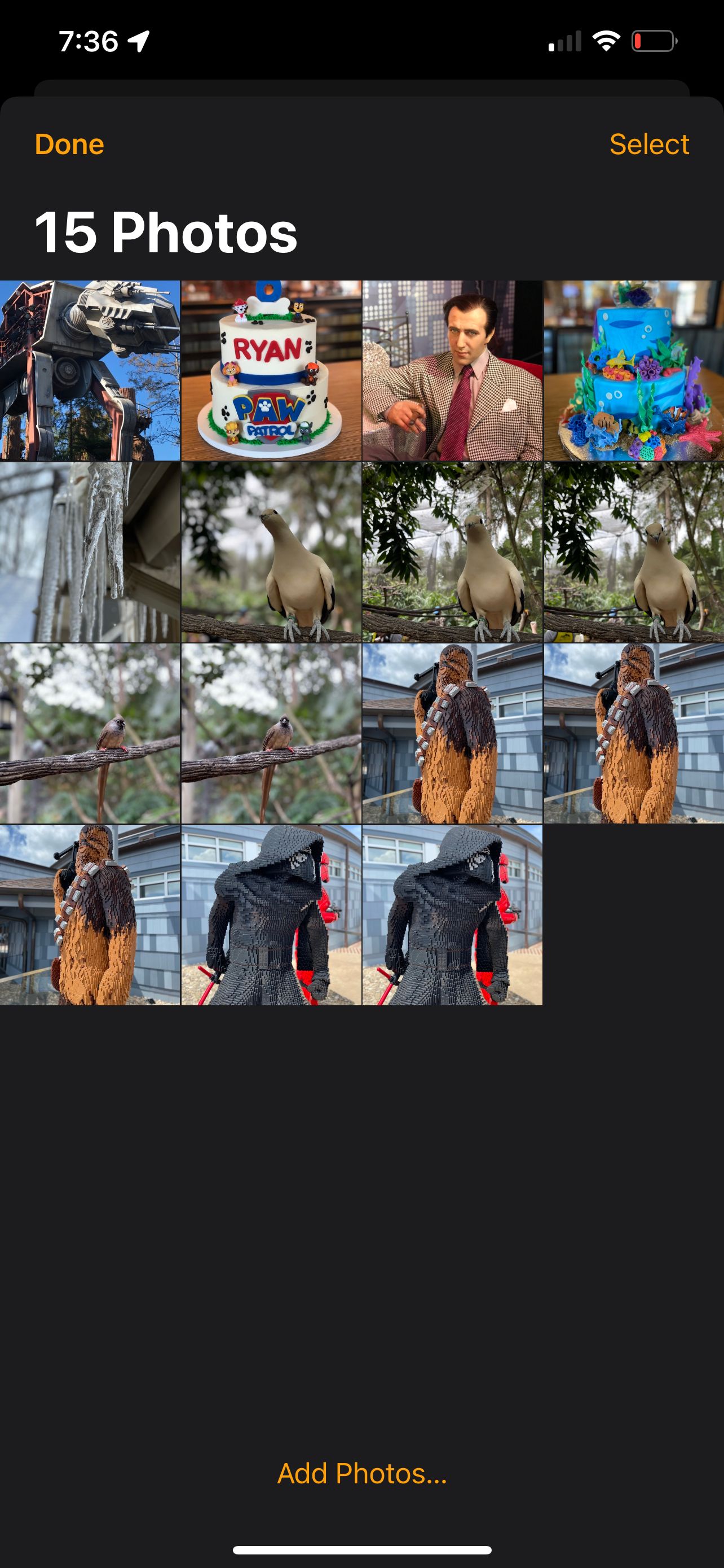 How to Create a Portrait Watch Face on Your Apple Watch