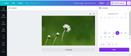 How To Use The Canva Content Planner To Schedule Social Media Posts