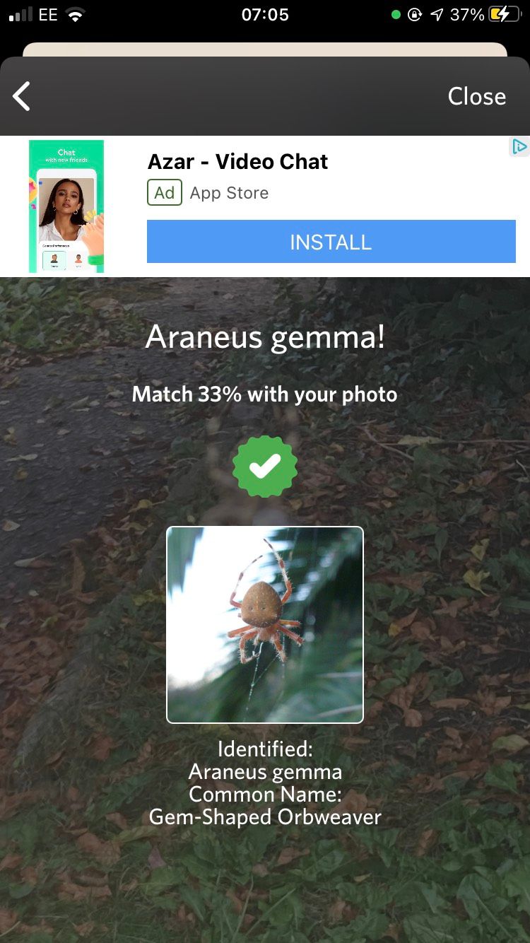 The Top 5 Apps on iPhone for Identifying Bugs and Insects