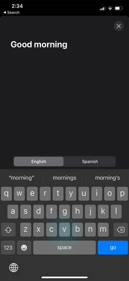 A Guide To Using The Translate App On Your IPhone Or IPad