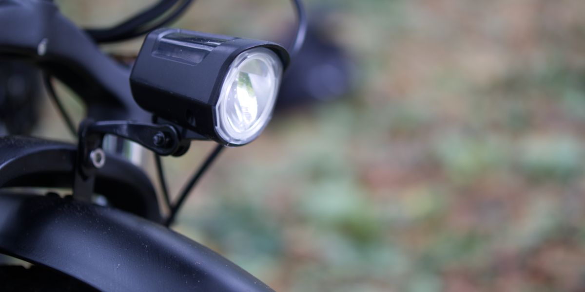 Engwe Engine Pro 750 Review: Does This Fat-Tired Thicc Boy Belong in ...