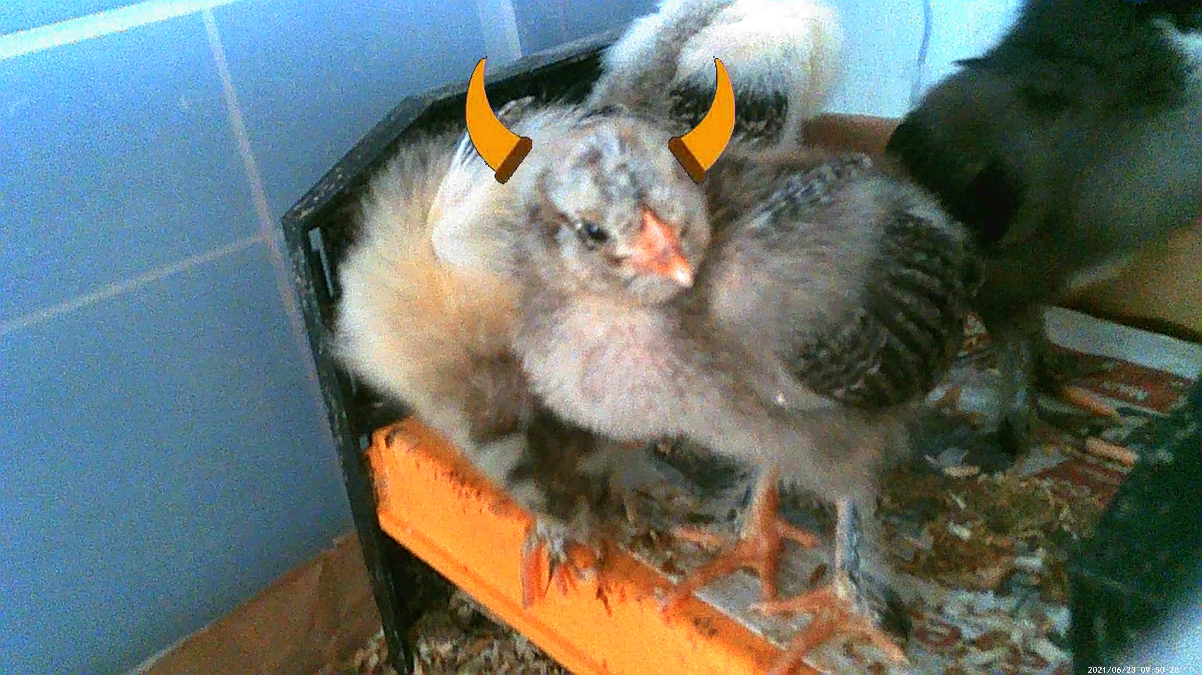 MyFirst Insta Wi Review: The Best Camera for Kids—and It Prints Labels, Too