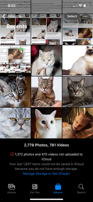 How To Save Multiple Photos From Safari At Once In IOS 15