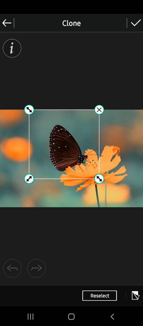 How to Use the PhotoDirector Mobile App to Enhance Your Images: 7 Ways