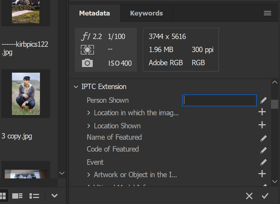 What Is Adobe Bridge? A Beginner's Guide to the Content Management App