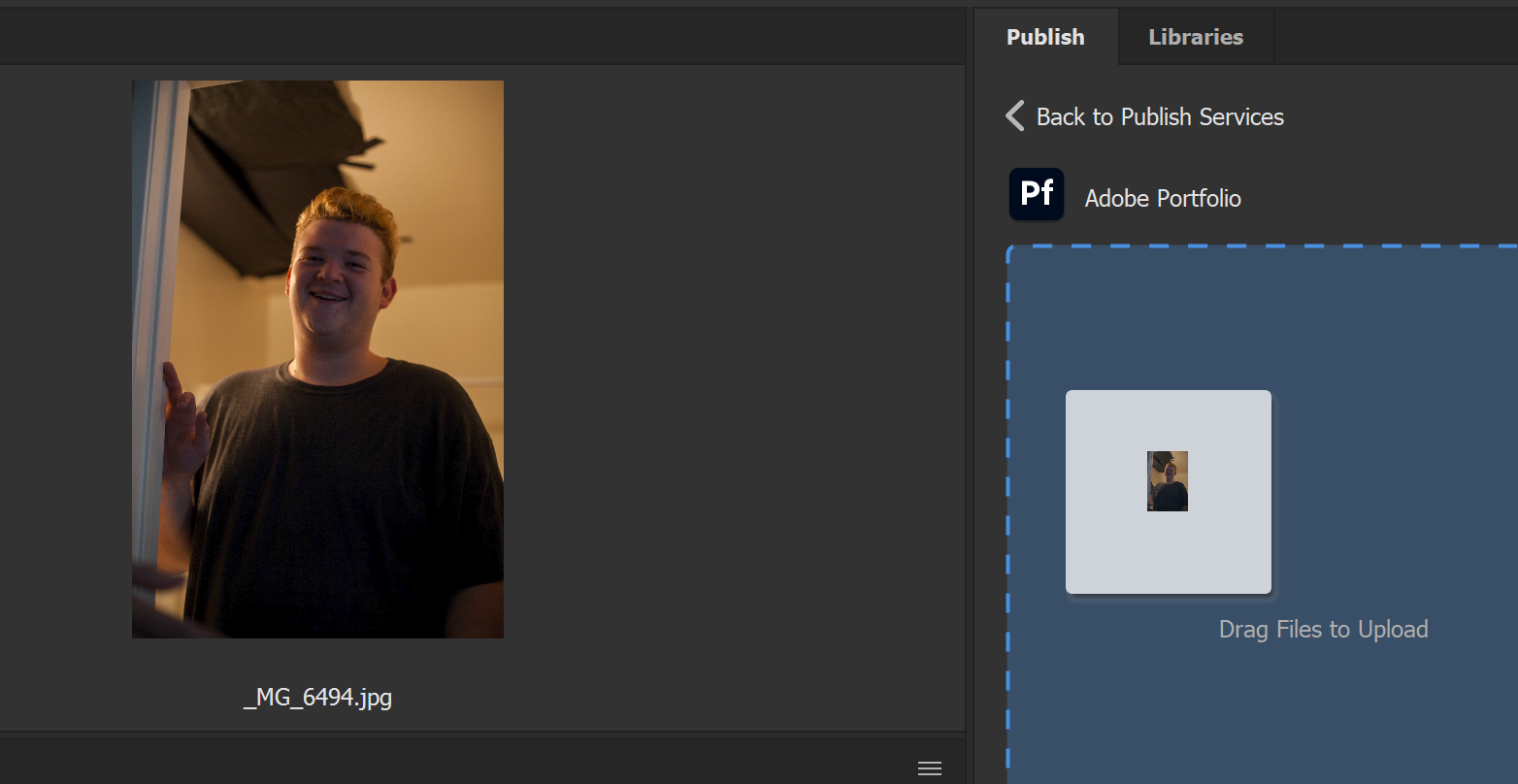 What Is Adobe Bridge? A Beginner's Guide to the Content Management App