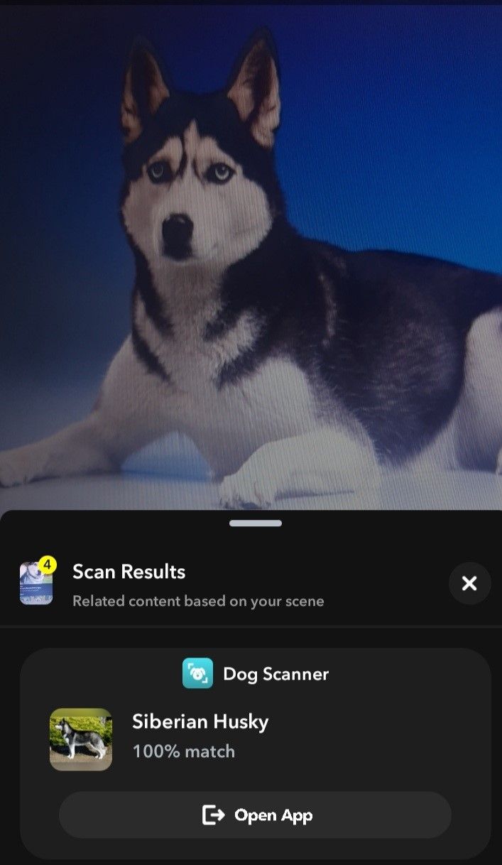 5 Things You Can Do With the Snapchat Scan Feature