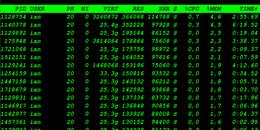 How To Display Top Processes Results And Sort By Memory