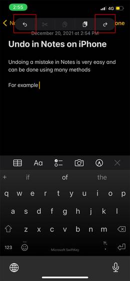 How To Undo In Notes On IPhone