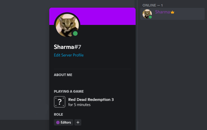 How to Set a Custom Playing Status on Discord