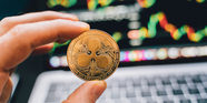 Ripple Vs XRP What s The Difference CryptoCourtyard