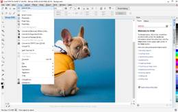 How To Change Background Color In Corel Photo Paint Design Talk