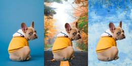 How To Remove Background In Corel Photo Paint Step By Step Guide
