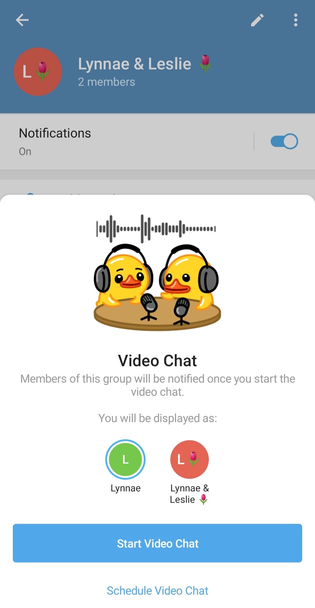 4 Features to Make the Most of Telegram Video Calls