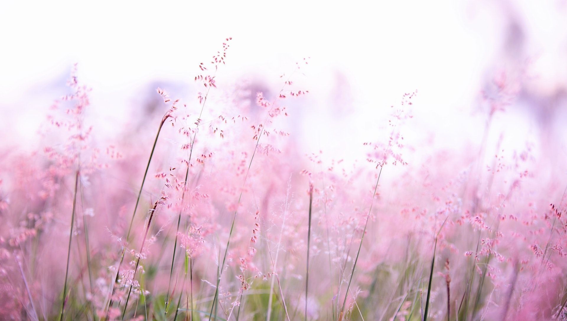 An Introduction to Focal Length in Photography