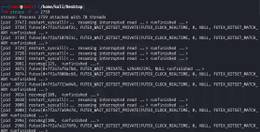 Understanding Linux System Calls With The Strace Command