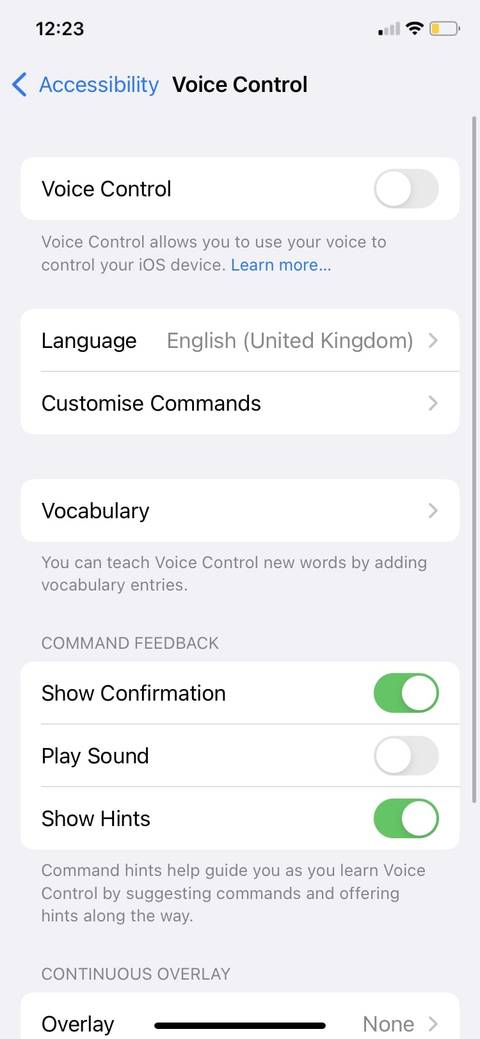 An Overview of All the Accessibility Features on an iPhone