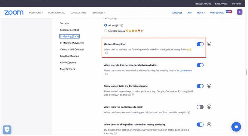 How to Start Using Gesture Recognition in Zoom