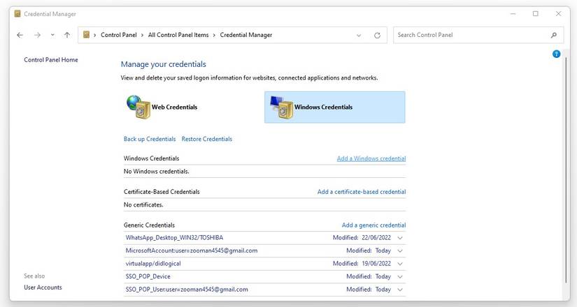 What Is the Credential Manager? How to Save Your Login Credentials in ...