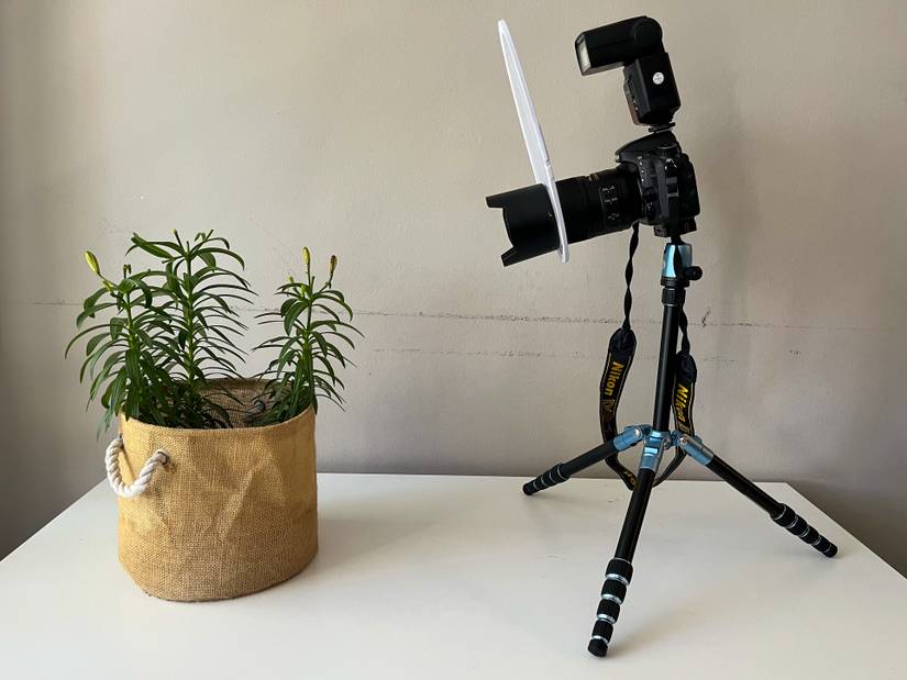 How to Make a Blooming Flower Time-Lapse: A Beginner's Guide