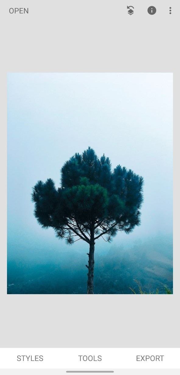 How to Create a Double Exposure Effect Using Snapseed