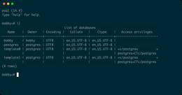 How To Work With A PostgreSQL Database Using Psql Commands